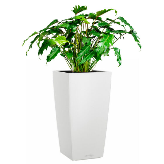 LECHUZA CUBICO Color кашпо с автополивом купить по цене 4850 рублей